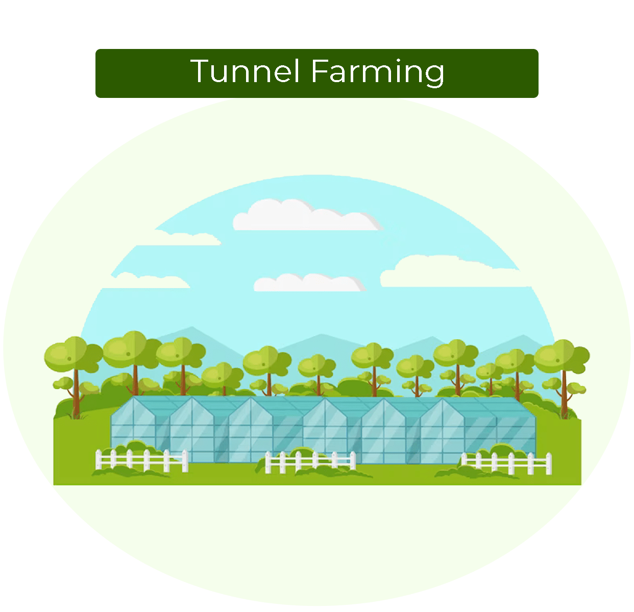 Tunnel Farming Services in Pakistan - Agricultural services